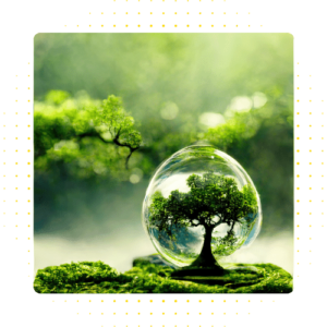 ESG audits – Apollo